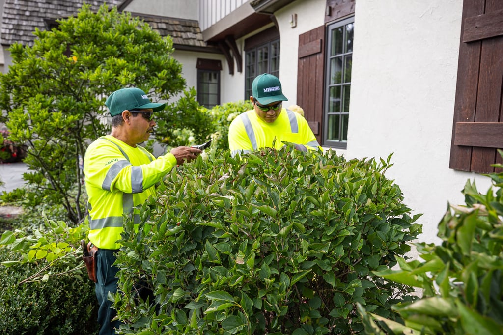 Residential Landscape Maintenance & Irrigation Services - Vernon Hills ...